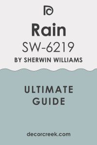 Rain SW 6219 Paint Color by Sherwin-Williams - DecorCreek