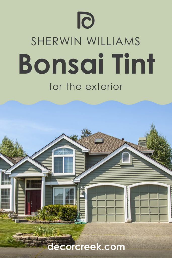 Bonsai Tint SW 6436 Paint Color by Sherwin-Williams - DecorCreek