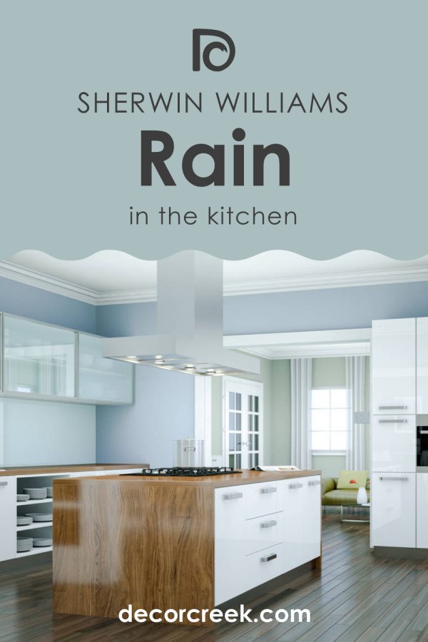 Rain SW 6219 Paint Color by Sherwin-Williams - DecorCreek