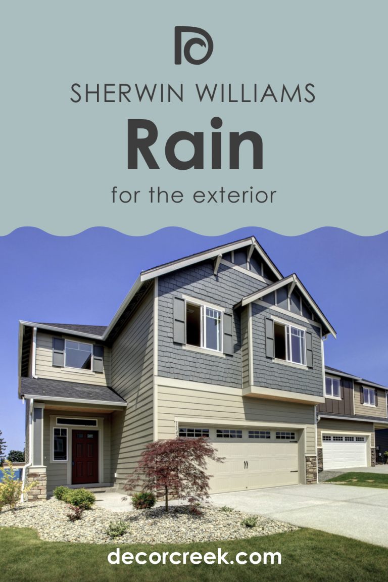 Rain SW 6219 Paint Color by Sherwin-Williams - DecorCreek