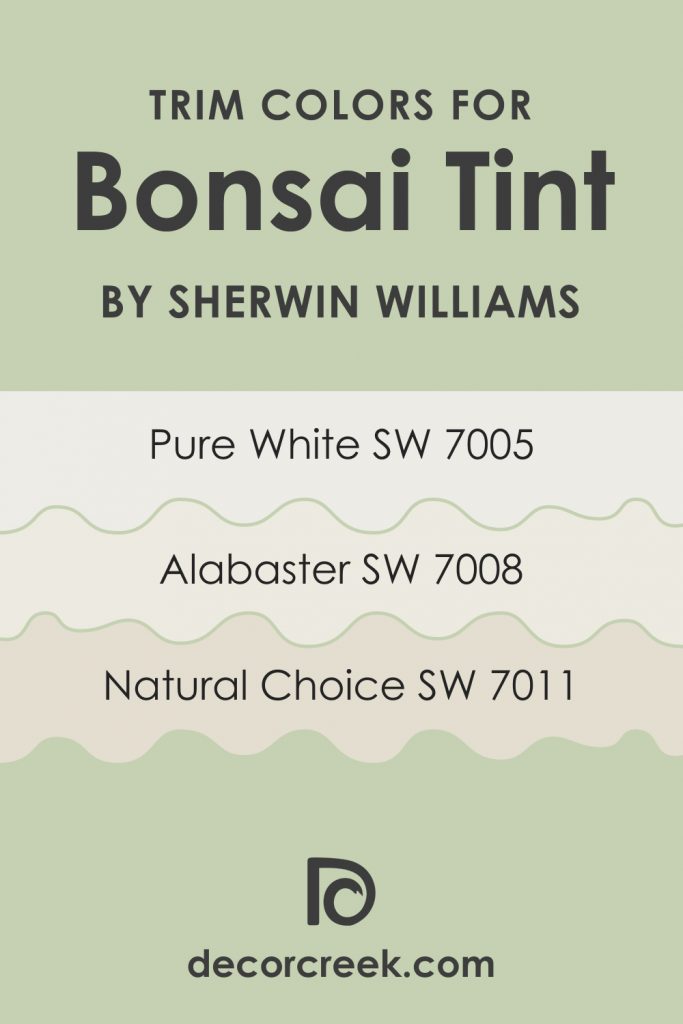 Bonsai Tint SW 6436 Paint Color by Sherwin-Williams - DecorCreek