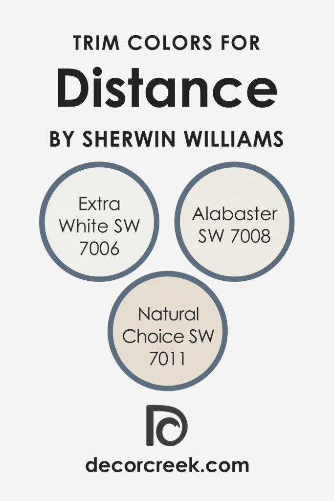 Distance SW 6243 Paint Color by Sherwin-Williams - DecorCreek