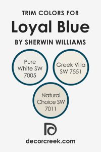 Loyal Blue SW 6510 Paint Color by Sherwin-Williams