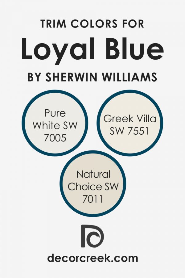 Loyal Blue SW 6510 Paint Color by Sherwin-Williams