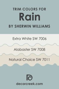 Rain SW 6219 Paint Color by Sherwin-Williams - DecorCreek