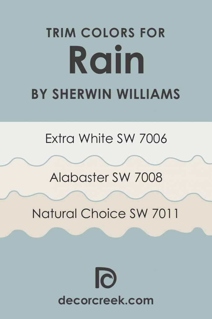 Rain SW 6219 Paint Color by Sherwin-Williams - DecorCreek