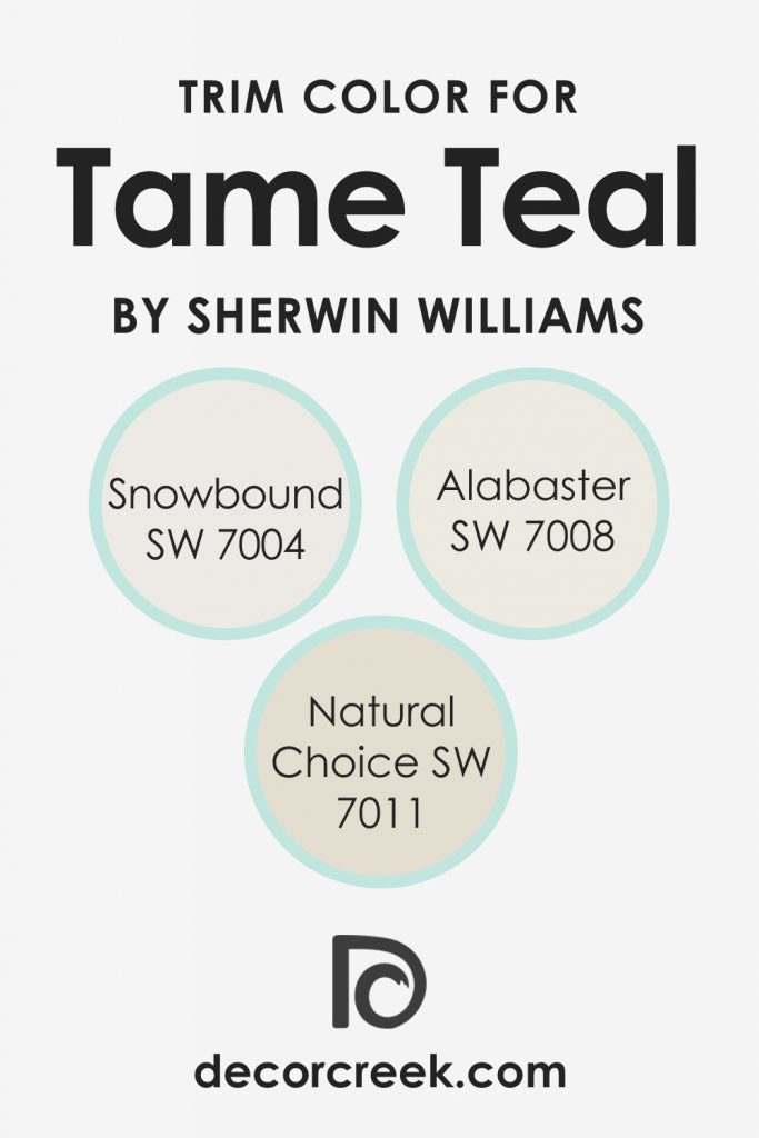 Tame Teal SW 6757 Paint Color by Sherwin-Williams