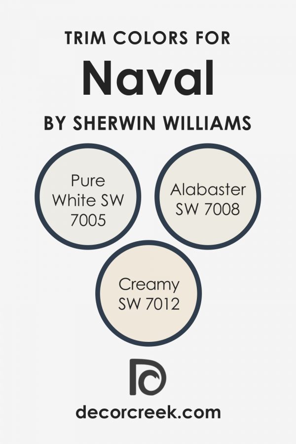 Naval SW 6244 Paint Color by Sherwin-Williams - DecorCreek