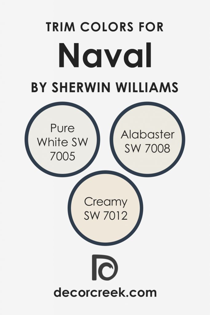 Naval SW 6244 Paint Color by Sherwin-Williams - DecorCreek
