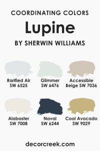 Lupine SW 6810 Paint Color by Sherwin-Williams - DecorCreek