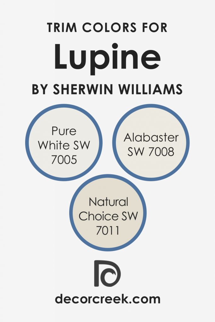 Lupine SW 6810 Paint Color by Sherwin-Williams - DecorCreek