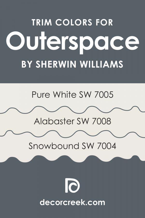 Outerspace SW 6251 Paint Color Sherwin-Williams