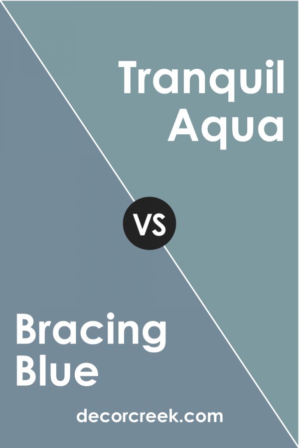 Bracing Blue SW 6242 Paint Color by Sherwin-Williams - DecorCreek