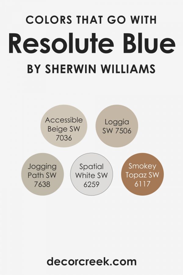 Resolute Blue SW 6507 Paint Color by Sherwin-Williams