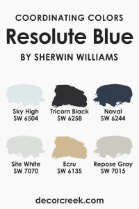 Resolute Blue SW 6507 Paint Color by Sherwin-Williams