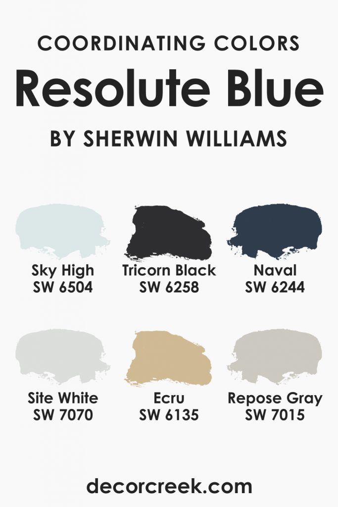 Resolute Blue SW 6507 Paint Color by Sherwin-Williams