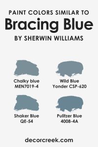 Bracing Blue SW 6242 Paint Color by Sherwin-Williams - DecorCreek