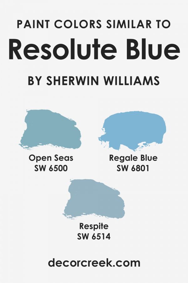 Resolute Blue SW 6507 Paint Color by Sherwin-Williams