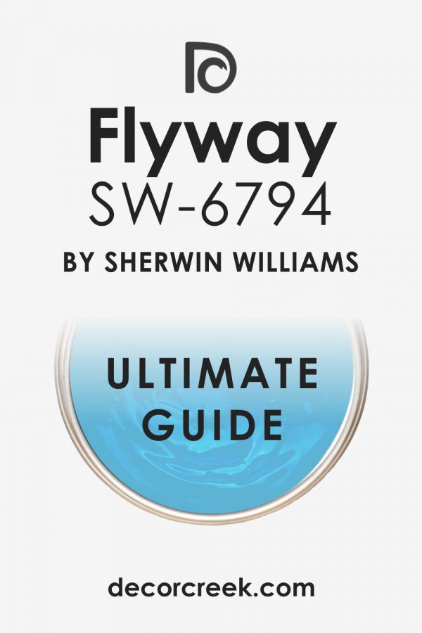 Flyway SW 6794 Paint Color by Sherwin-Williams - DecorCreek