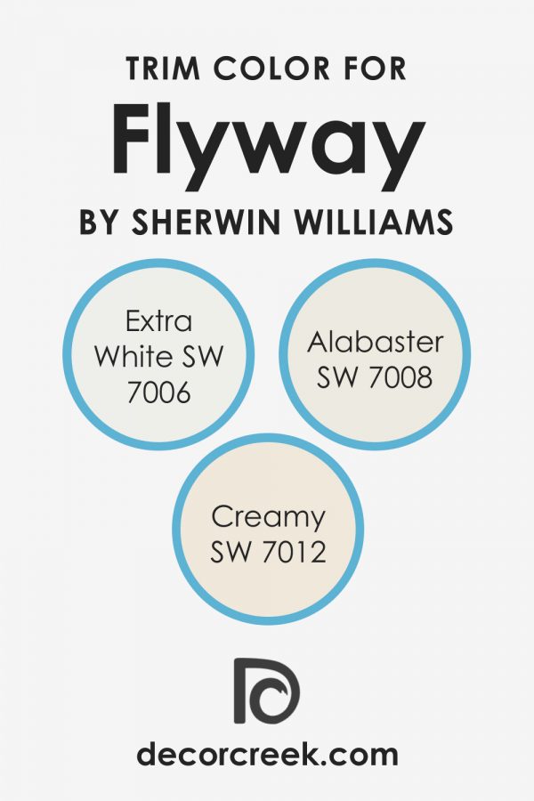 Flyway SW 6794 Paint Color by Sherwin-Williams - DecorCreek