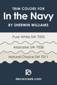 In the Navy SW 9178 Paint Color by Sherwin-Williams