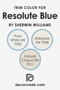 Resolute Blue SW 6507 Paint Color by Sherwin-Williams