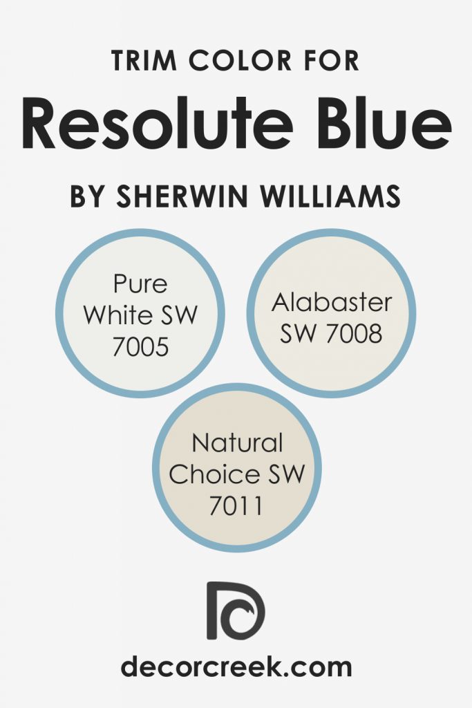 Resolute Blue SW 6507 Paint Color by Sherwin-Williams
