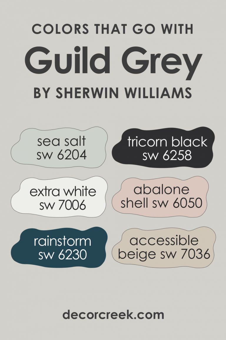 Guild Grey SW 9561 Paint Color by Sherwin-Williams - DecorCreek