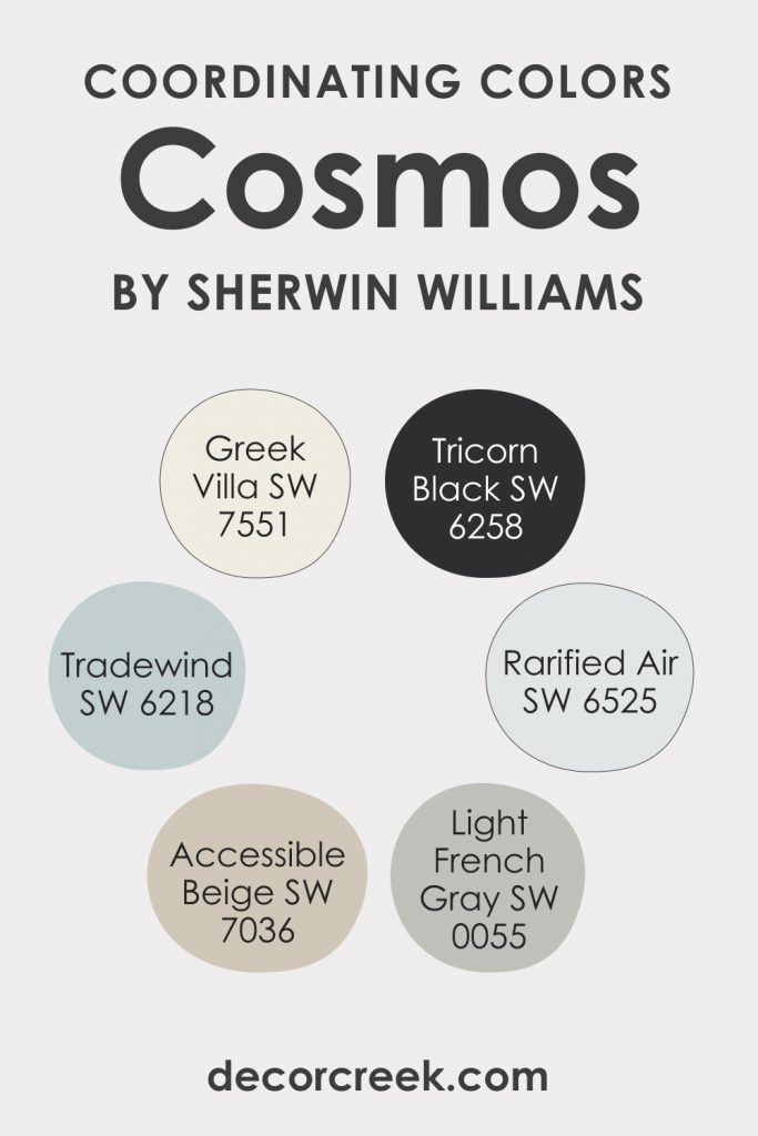 Cosmos SW 7036 Paint Color by Sherwin-Williams - DecorCreek