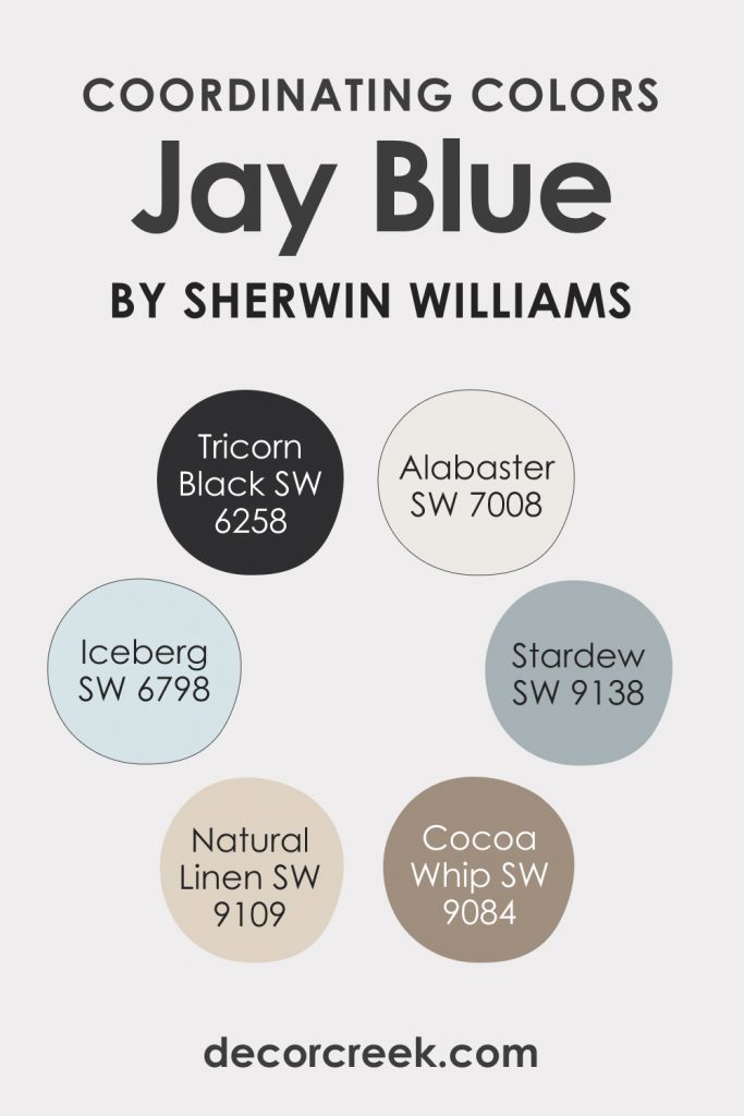 Jay Blue SW 6797 Paint Color by Sherwin-Williams - DecorCreek