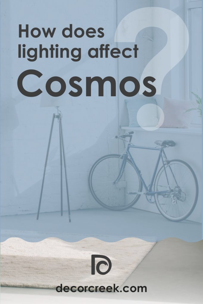 Cosmos SW 7036 Paint Color by Sherwin-Williams - DecorCreek