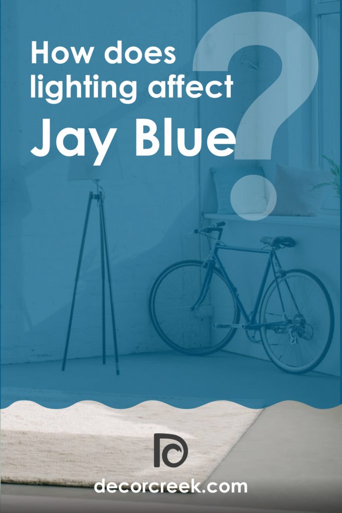 Jay Blue SW 6797 Paint Color by Sherwin-Williams - DecorCreek
