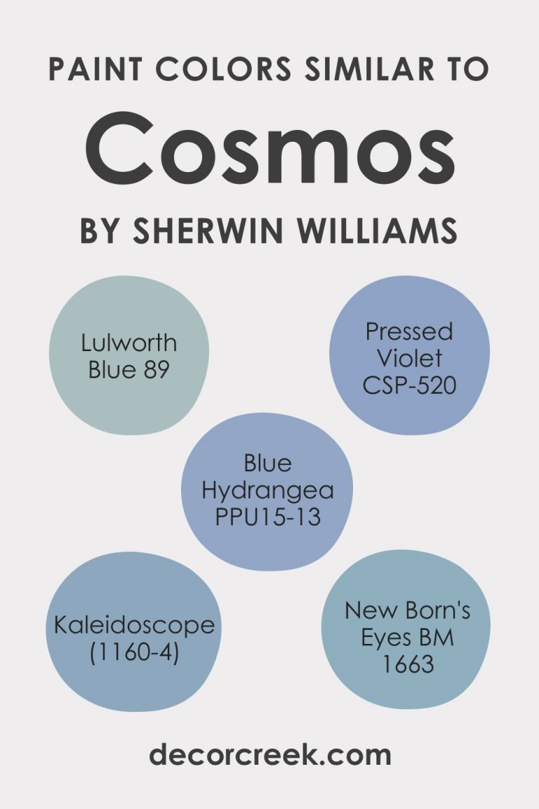 Cosmos SW 7036 Paint Color by Sherwin-Williams - DecorCreek
