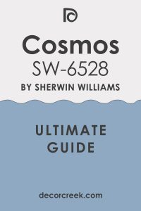 Cosmos SW 7036 Paint Color by Sherwin-Williams - DecorCreek