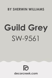Guild Grey SW 9561 Paint Color by Sherwin-Williams - DecorCreek