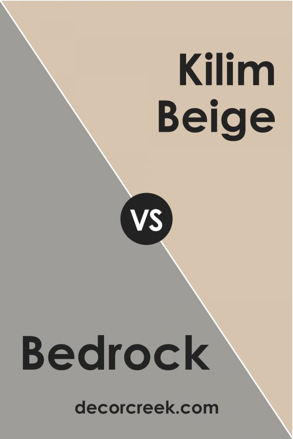 Bedrock SW 9563 Paint Color by Sherwin-Williams - DecorCreek