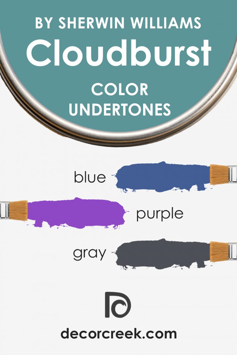 Cloudburst SW 6487 Paint Color by Sherwin-Williams - DecorCreek