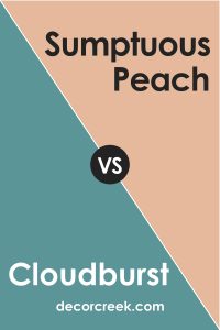 Cloudburst SW 6487 Paint Color by Sherwin-Williams - DecorCreek