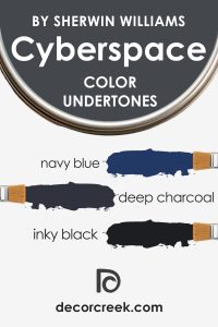 Cyberspace SW 7076 Paint Color by Sherwin-Williams