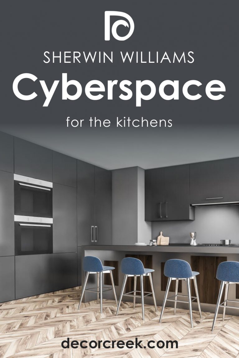 Cyberspace SW 7076 Paint Color by Sherwin-Williams