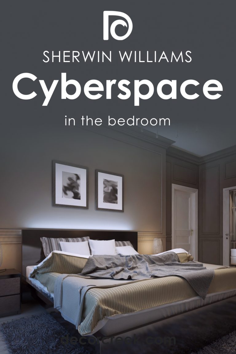 Cyberspace SW 7076 Paint Color by Sherwin-Williams