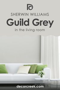 Guild Grey SW 9561 Paint Color by Sherwin-Williams - DecorCreek