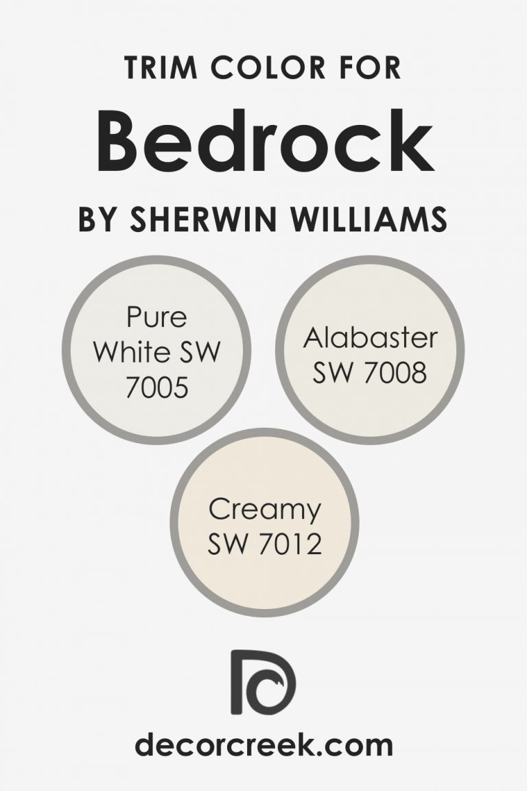 Bedrock SW 9563 Paint Color by Sherwin-Williams - DecorCreek