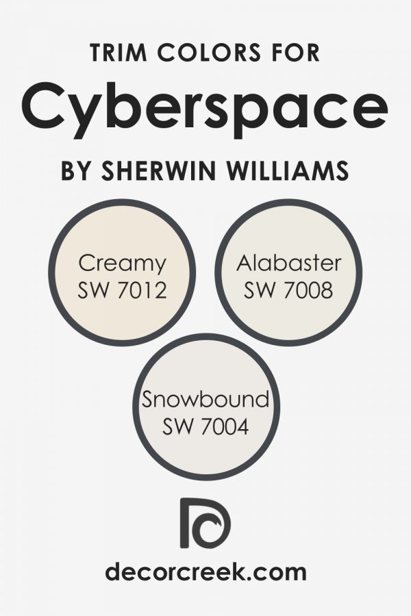 Cyberspace SW 7076 Paint Color by Sherwin-Williams