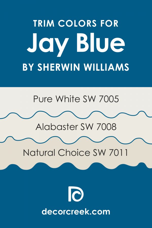 Jay Blue SW 6797 Paint Color by Sherwin-Williams - DecorCreek