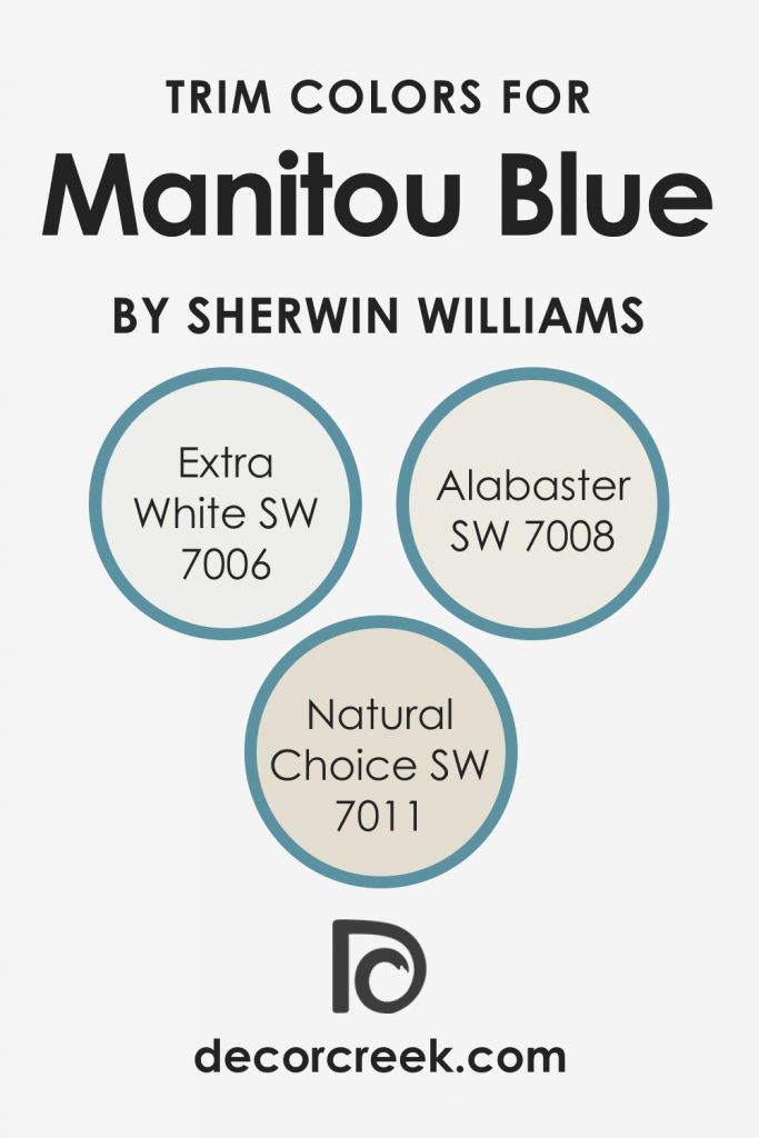 Manitou Blue SW 6501 Paint Color by Sherwin-Williams