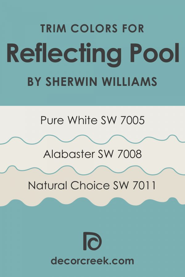 Reflecting Pool SW 6486 Paint Color by Sherwin-Williams
