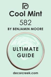Cool Mint 582 Paint Color by Benjamin Moore - DecorCreek