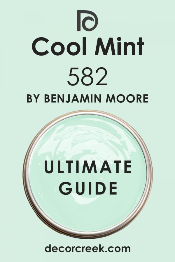 Cool Mint 582 Paint Color by Benjamin Moore - DecorCreek