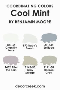 Cool Mint 582 Paint Color by Benjamin Moore - DecorCreek